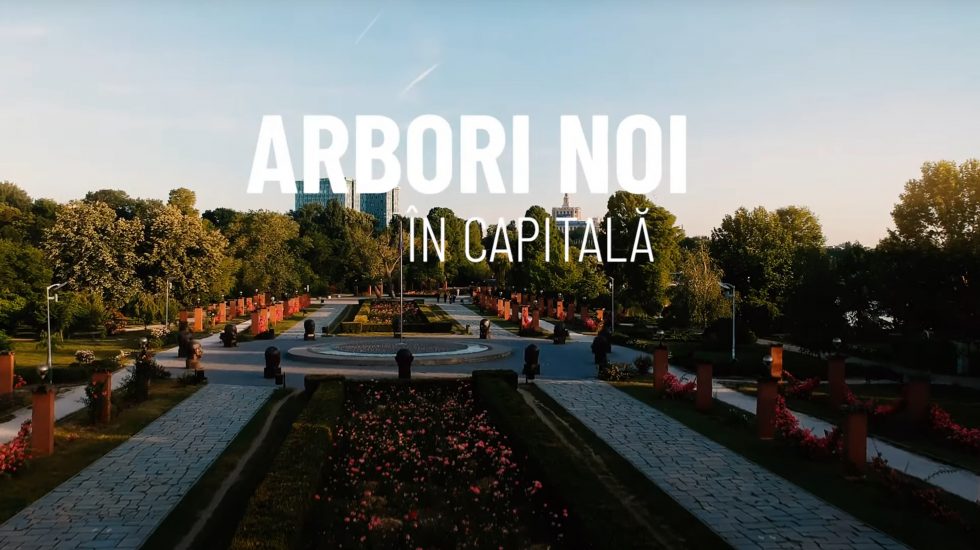 ADU a plantat 80 de arbori in Bucuresti | ADU